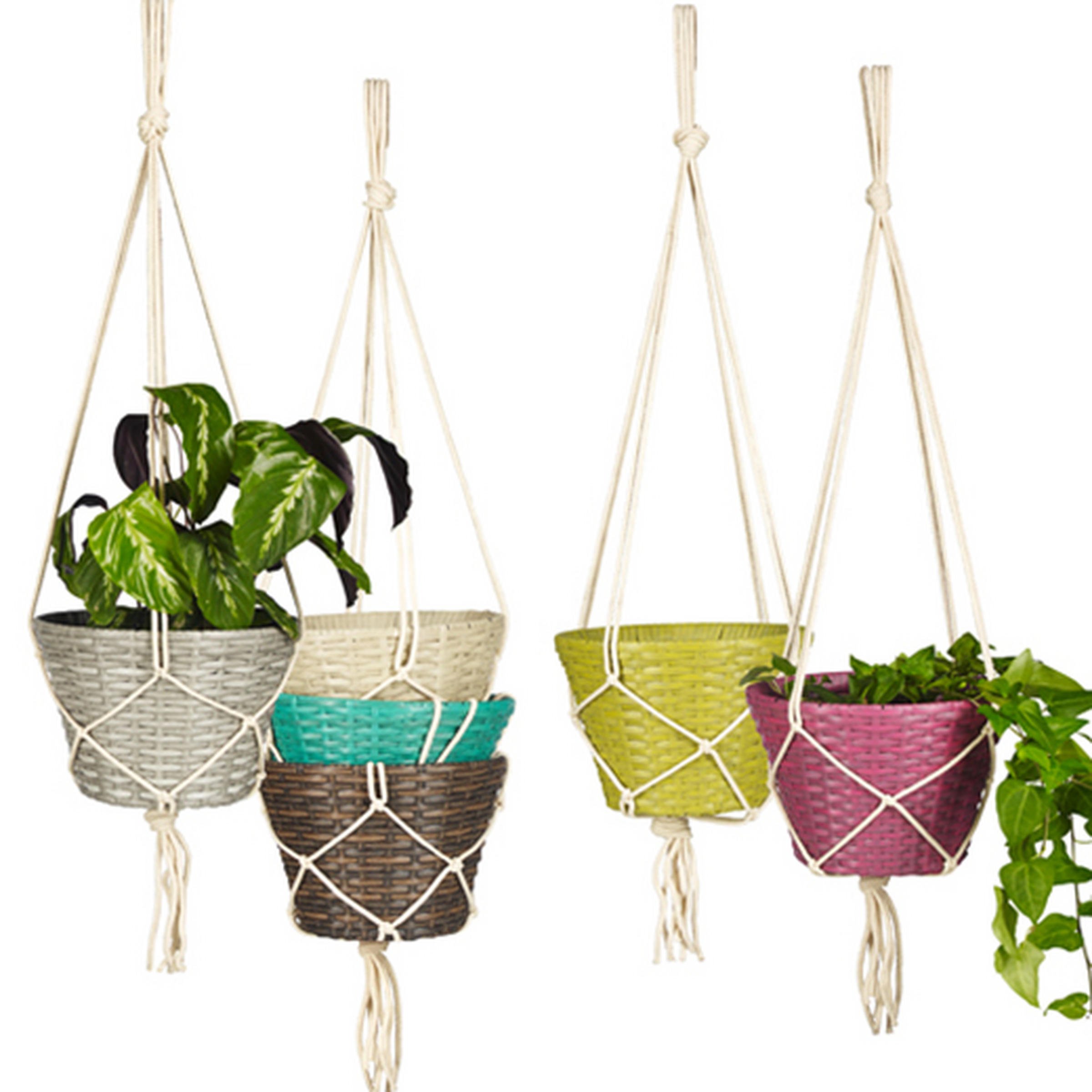 Modne sobne rastline za vsak dom | Meganakupek